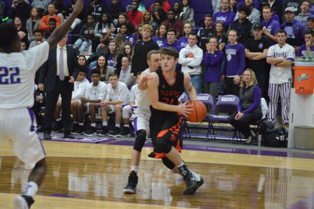 Oliver Stephen has solid range at three-point circle for Tigers - Metro ...